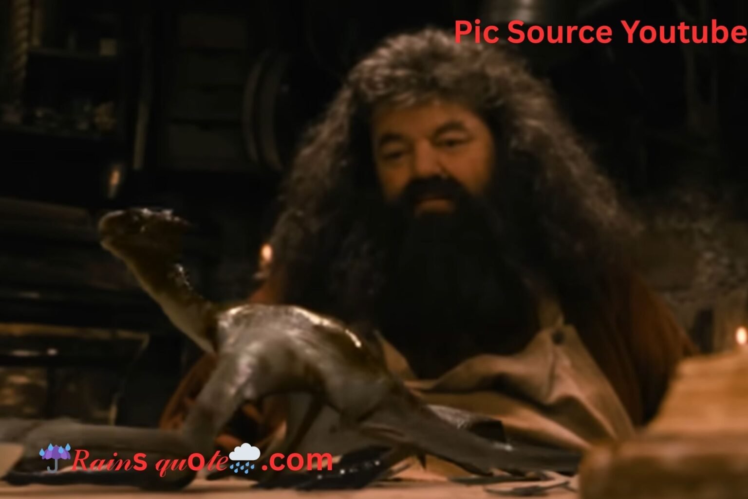 14 Hagrid Quotes from Harry Potter That Still Matter Today