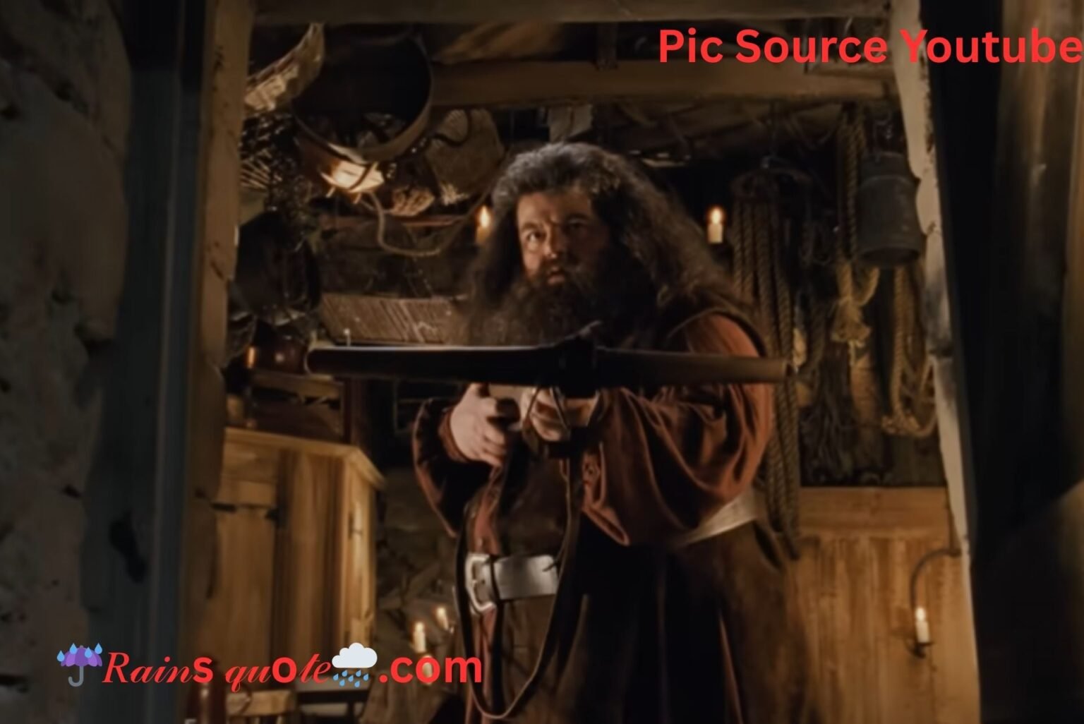 14 Hagrid Quotes from Harry Potter That Still Matter Today