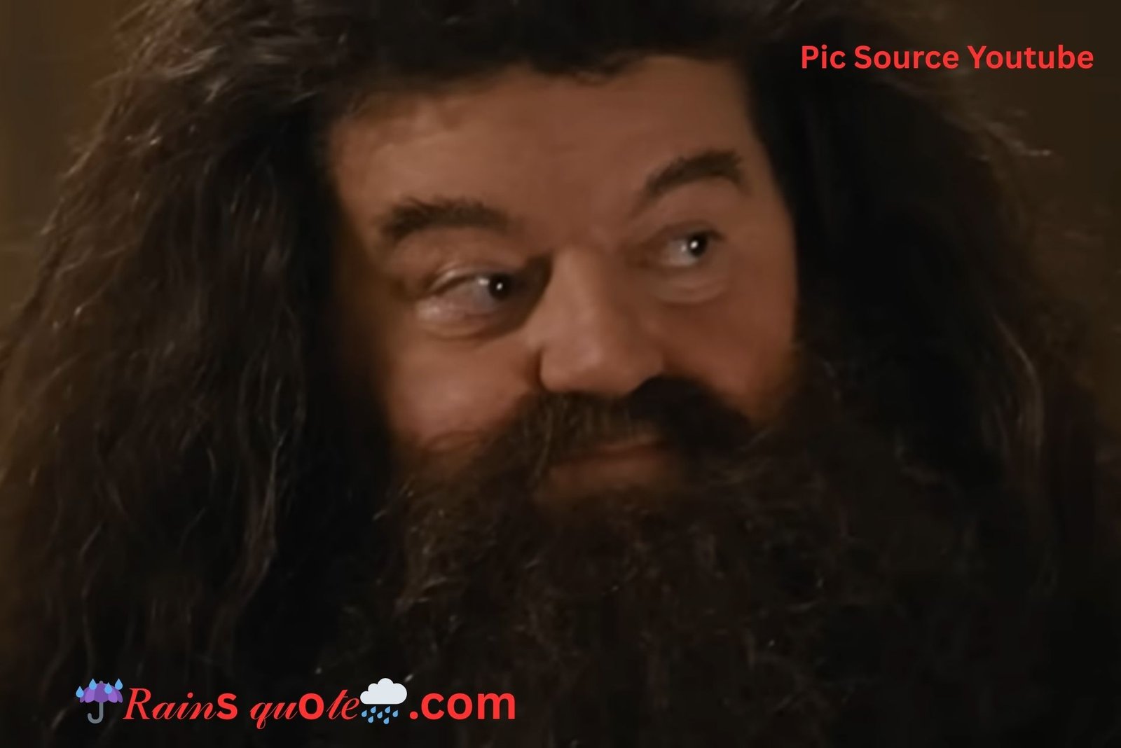 14 Hagrid Quotes from Harry Potter That Still Matter Today