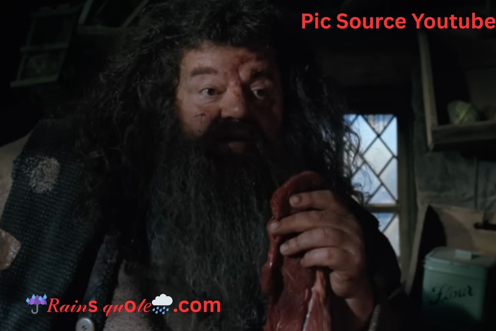 14 Hagrid Quotes from Harry Potter That Still Matter Today