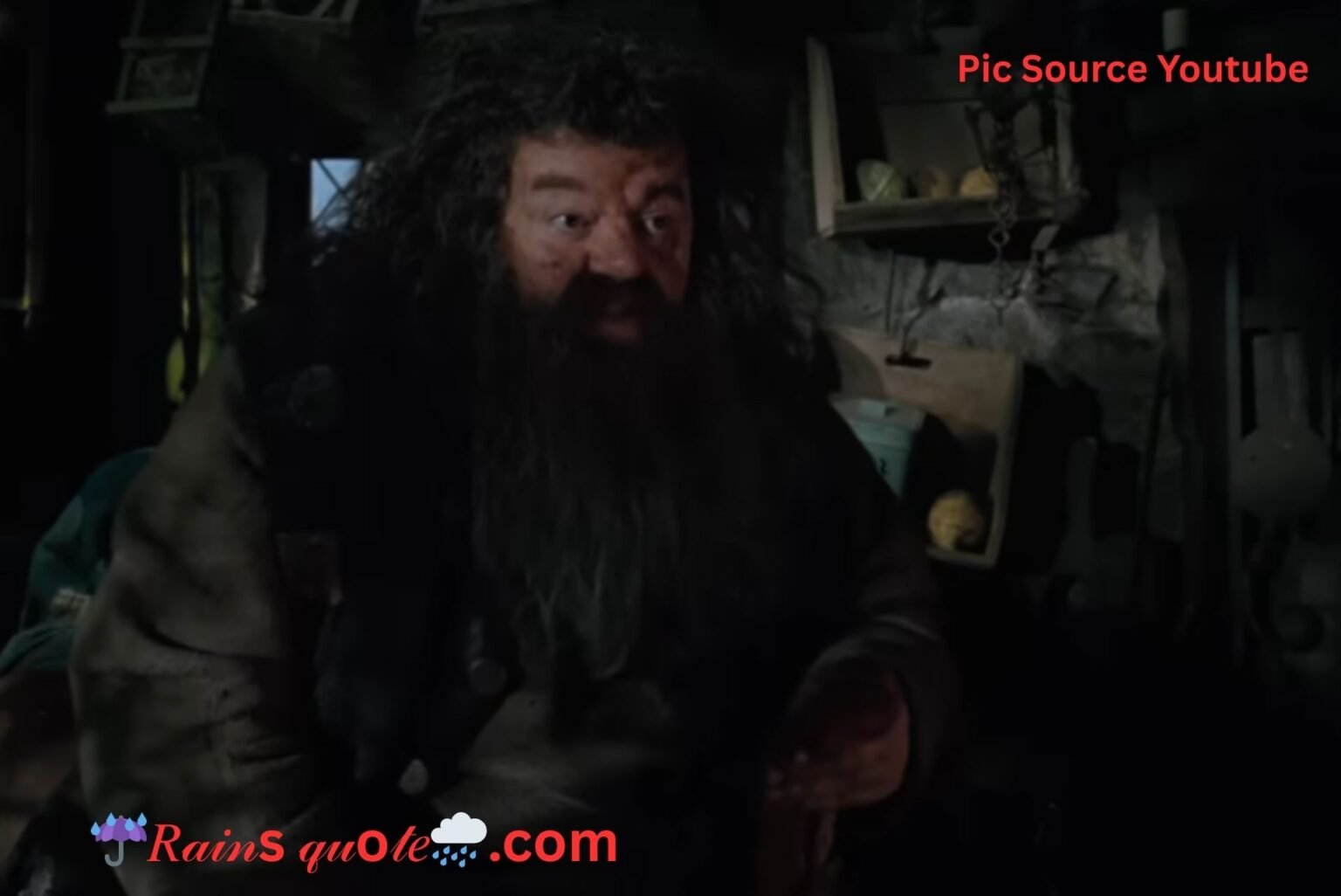 14 Hagrid Quotes from Harry Potter That Still Matter Today