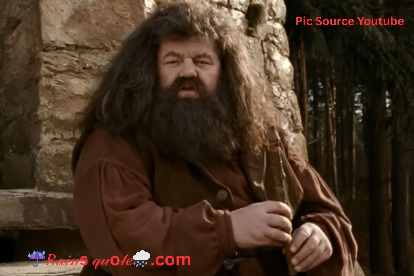 14 Hagrid Quotes from Harry Potter That Still Matter Today
