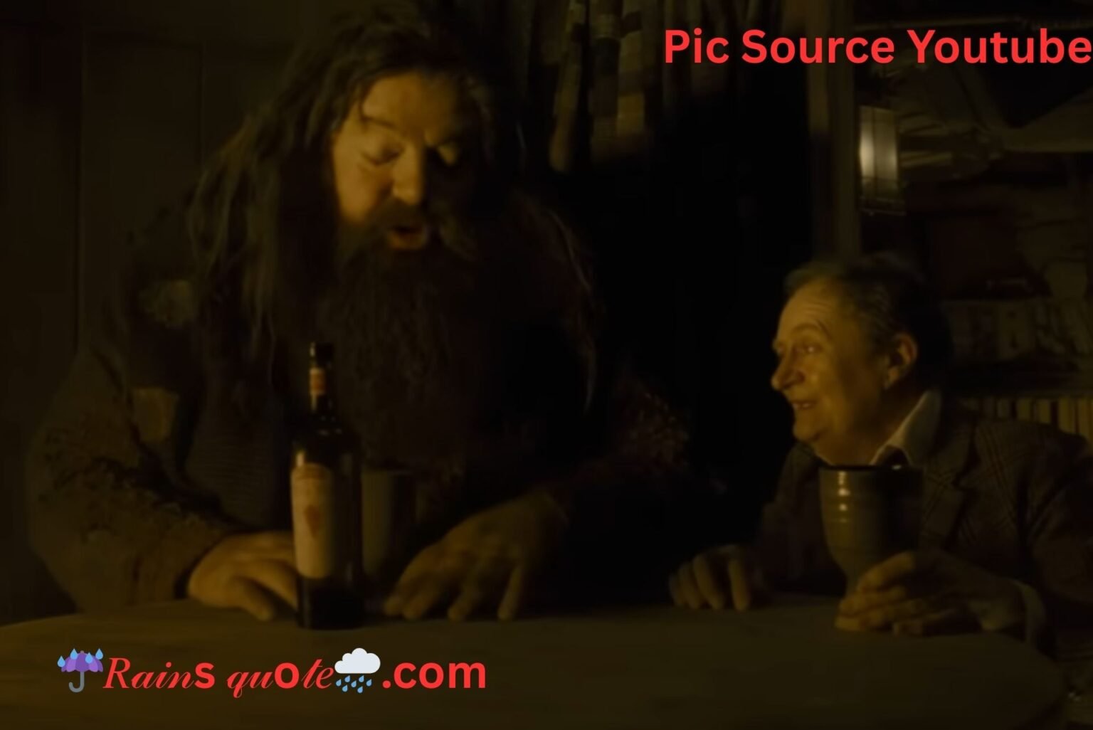 14 Hagrid Quotes from Harry Potter That Still Matter Today