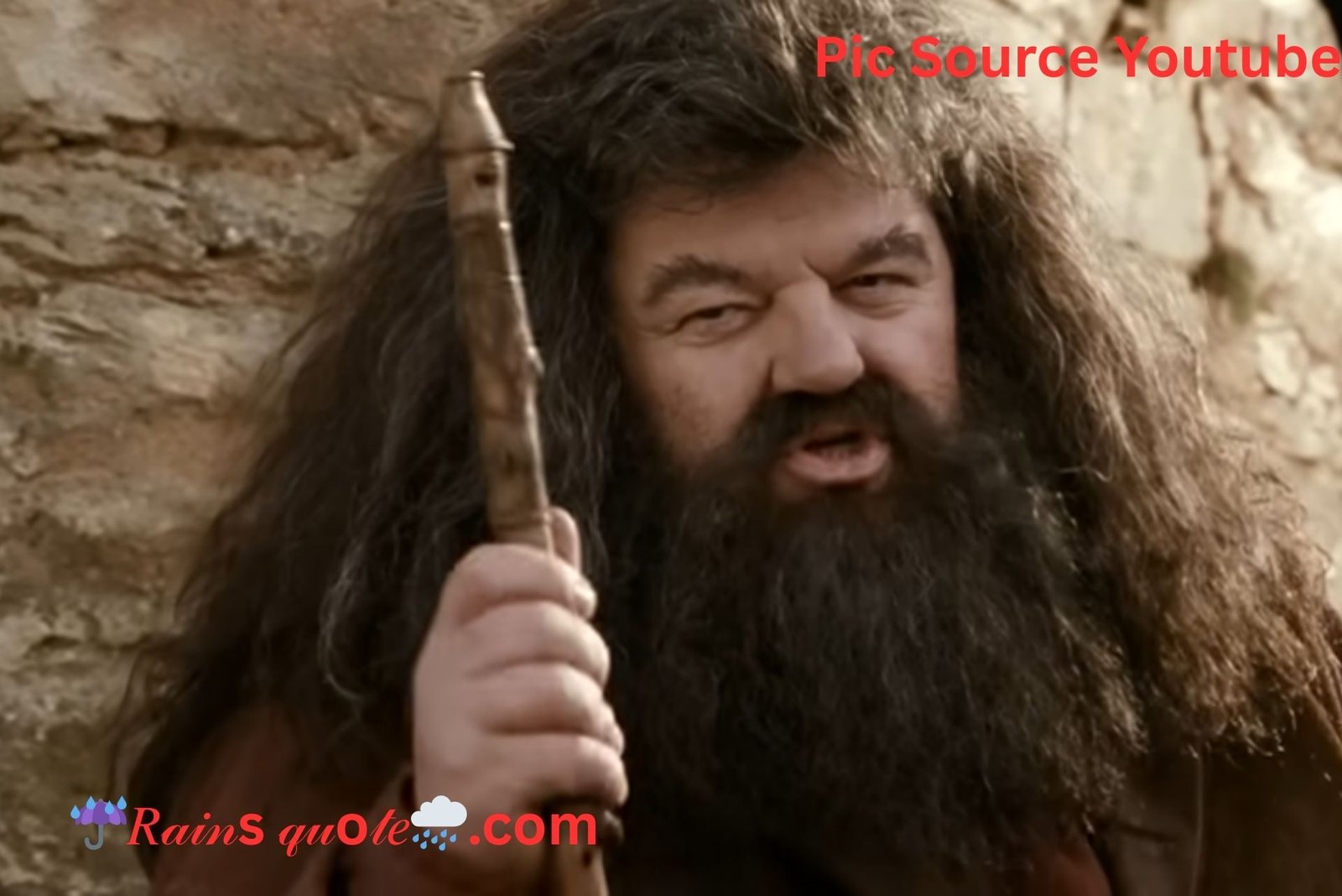 14 Hagrid Quotes from Harry Potter That Still Matter Today